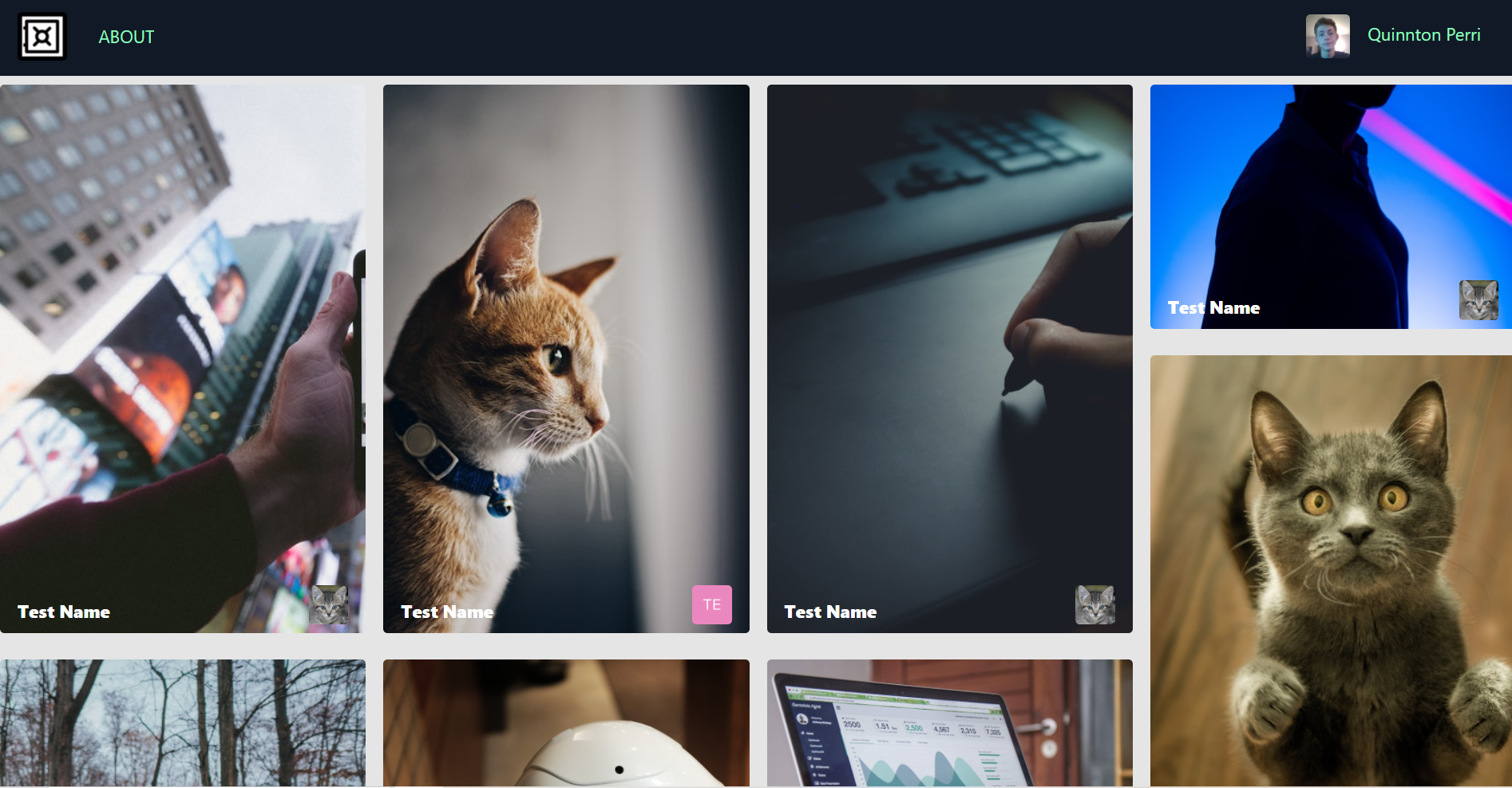 Quinn's Landing Page